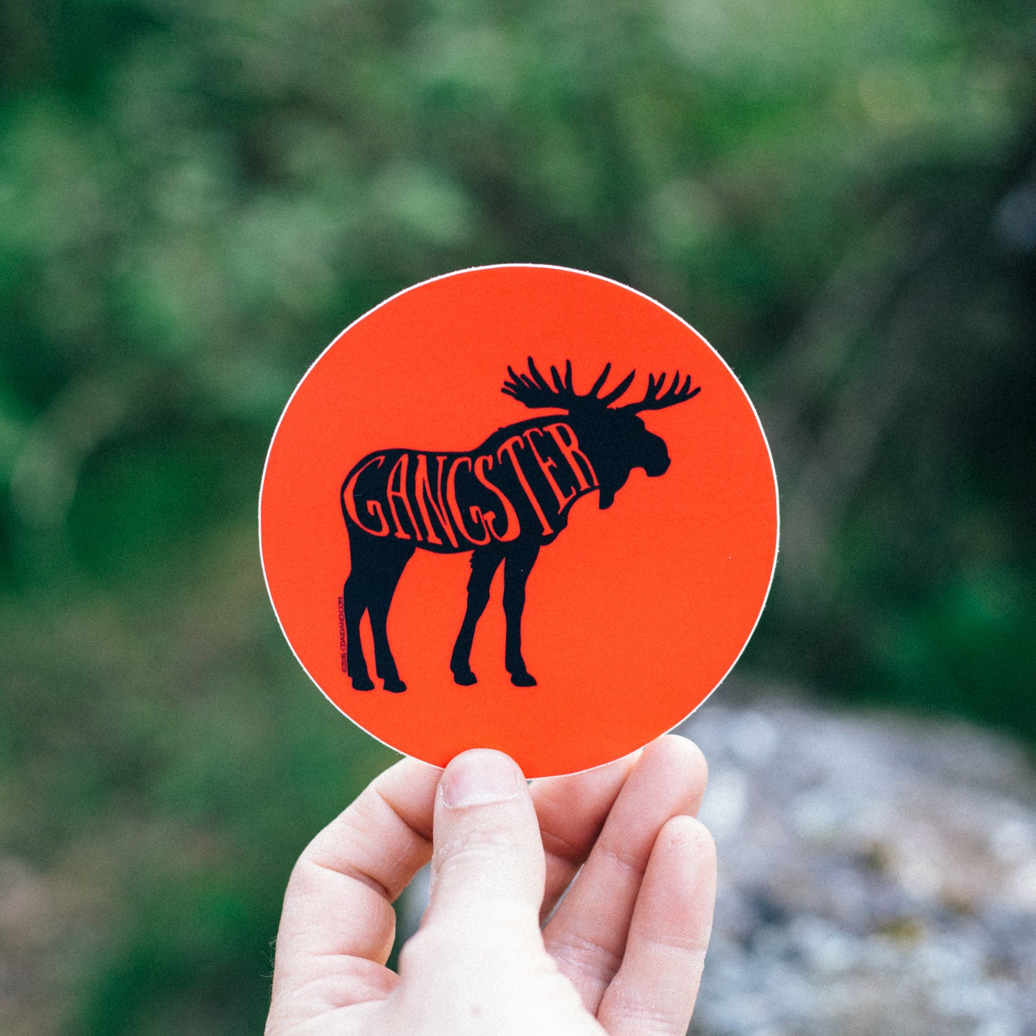 Red Gangster Moose Sticker – CDA IDAHO Clothing Company
