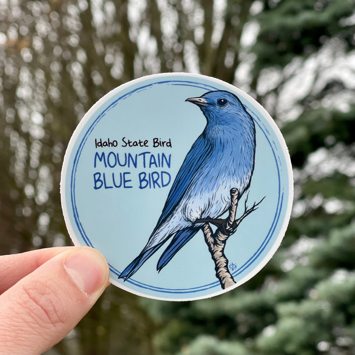 Idaho State Bird Sticker – CDA IDAHO Clothing Company